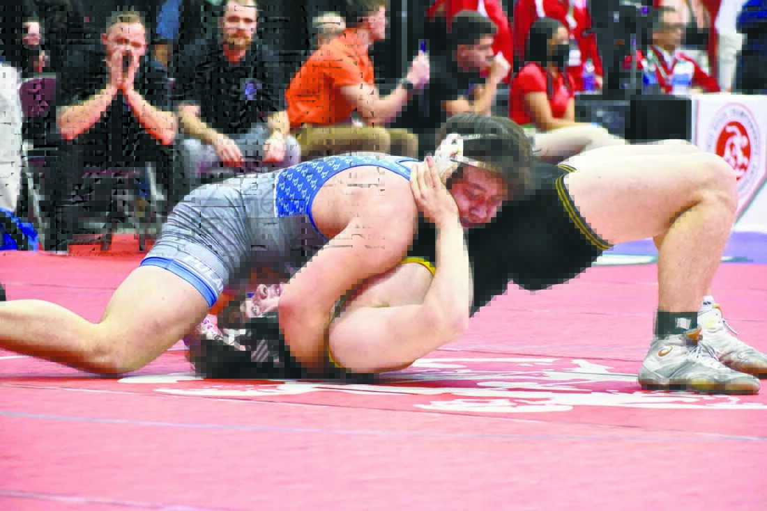 Several Valley grapplers advance in state tournament | News, Sports ...